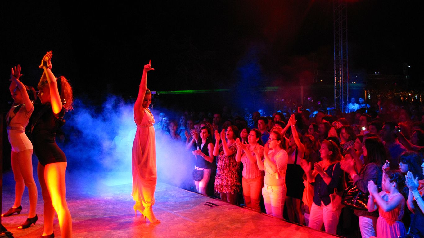 Sanatçı Organizasyonu | Nar Ajans